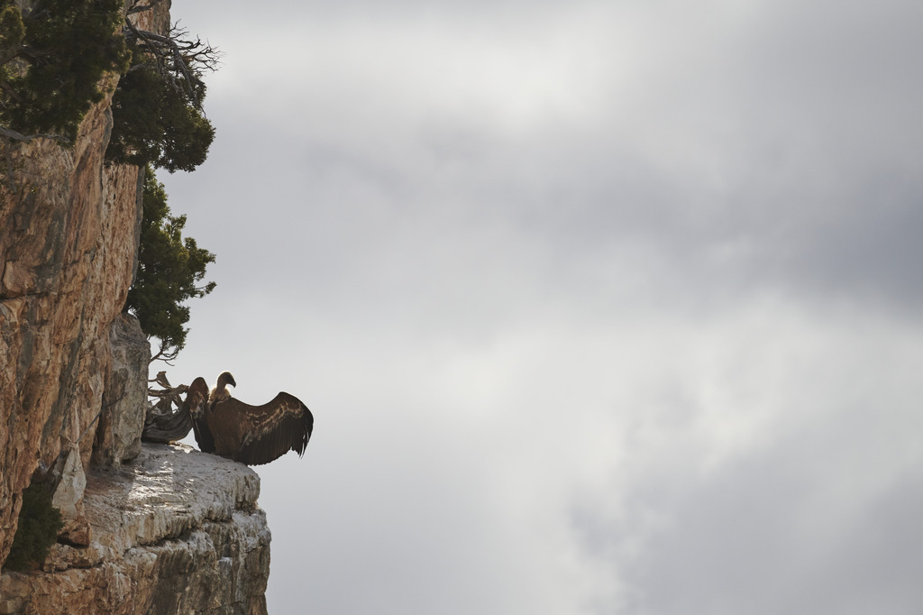 APRAN – Association Photos Rhône Alpes Nature